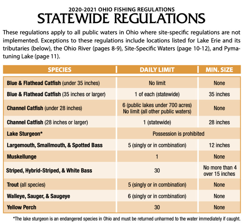 FAQ Seeing Red Charters